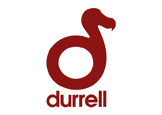 Durrell | Mountain Chicken Recovery Programme