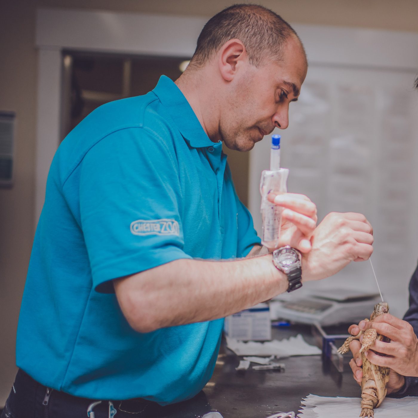 The Team | Mountain Chicken Recovery Programme