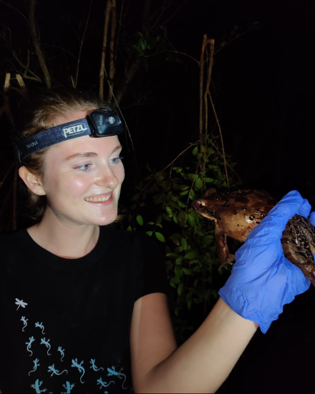 Mountain Chicken Mugshots | Mountain Chicken Recovery Programme